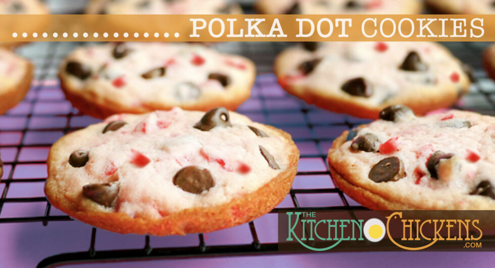 Polka Dot Cookies | The Kitchen Chickens